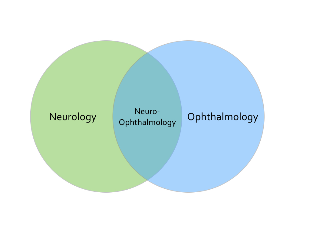What Is Neuro-Ophthalmology? | Circle City Neuro-Ophthalmology
